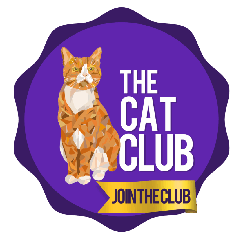 The Cat Club – The Cat Show Live